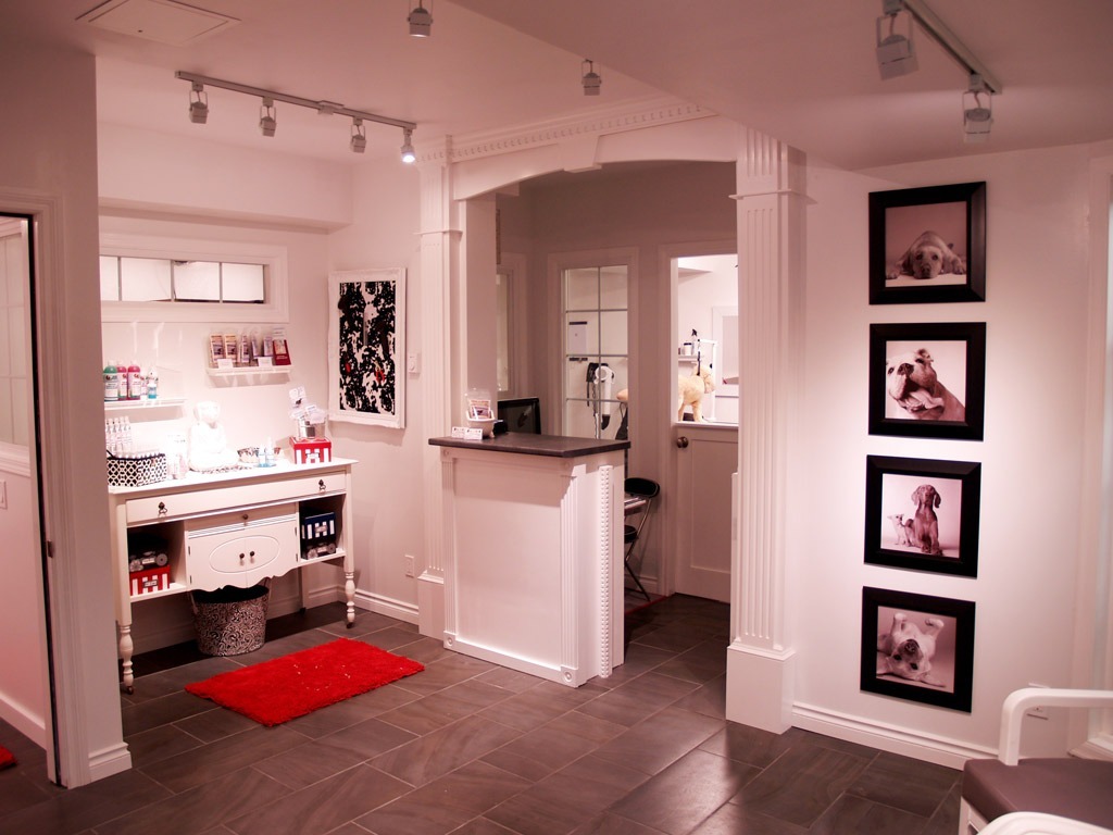 Pet Salon Designs Joy Studio Design Gallery Best Design